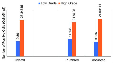 The Histogram Exhibits Grade Dependent Sexdetermining Region Y Box 2