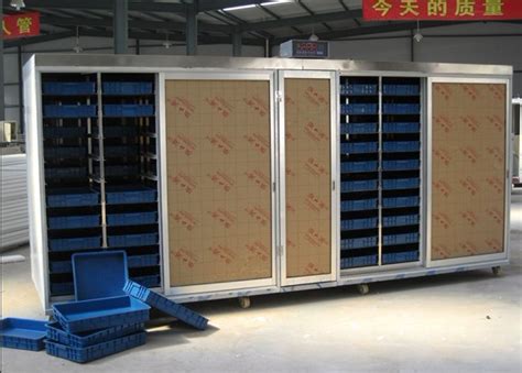 Automatic Control Seed Sprout Machine Barley Wheatgrass Planting