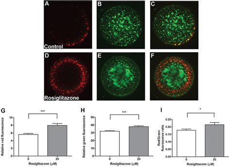 Imagej Measuring Fluorescence Intensity Fluorescence Analysis With
