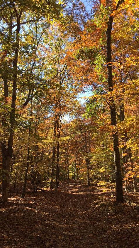 Rancocas State Park Hainesport Nj State Parks Local Pride Wonder