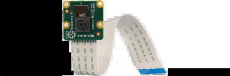 live raspberry pi camera terrariumpi