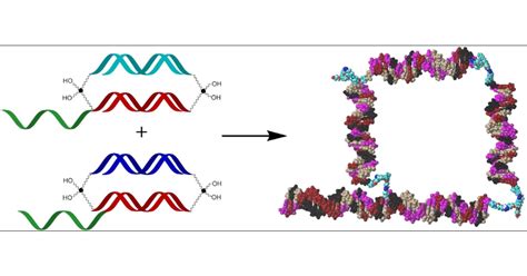 Toehold Mediated Selective Assembly Of Compact Discrete Dna Nanostructures Langmuir