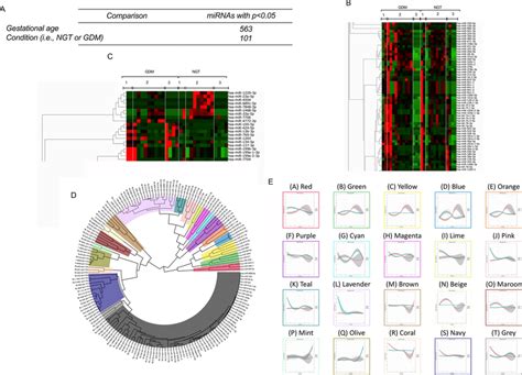 Gestational Variation In Ev Associated Mirnas Across Gestation Evs