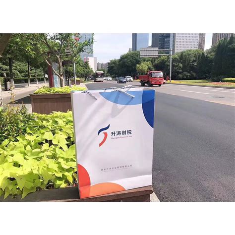 升涛财税logo斑马丨 站酷zcool