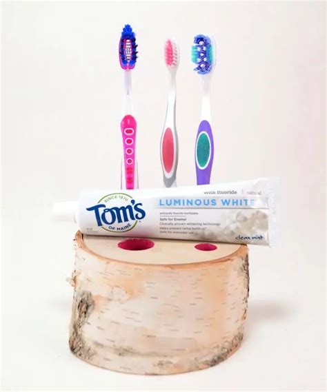 20 Amazing Diy Toothbrush Holder Ideas Diycraftsguru