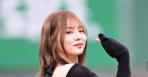 유수현 그라운드에 핀 장미 꽃[포토엔hd]