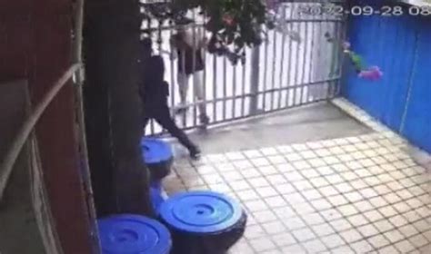 一男子持械欲冲进校园，保安迅速反应将其拦下，多部门拟对保安进行表彰 极目新闻