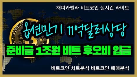 비트코인 실시간 준비금 비트 1조원 후오비 입금 옵션만기 11억달러상당 823 점심💎비트코인 비트코인실시간 이더리움 리플 Cryptocurrency 차트