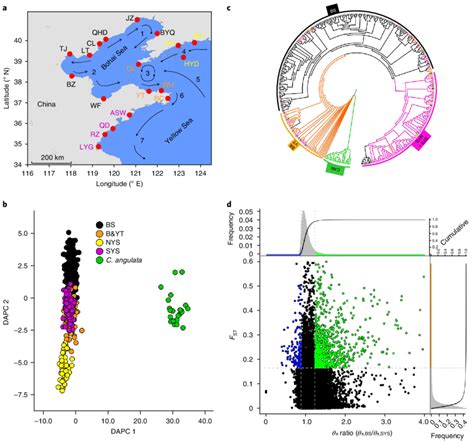 Geographic Distribution And Population Divergence Of Pacific Oysters