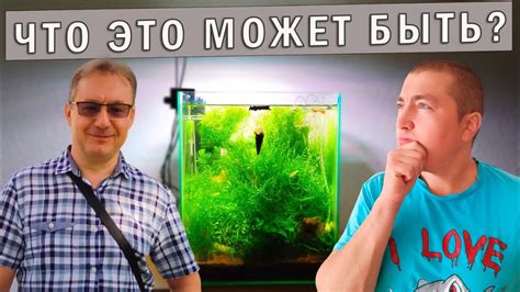 Таинственный подарок, который преобразил мой аквариум кубик! Угадайте ...