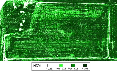 Soybean Fertilizer Trial Biomass Monitoring Pix4d