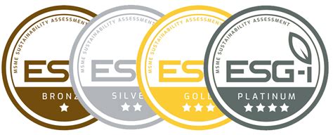 Esg I Msme Sustainability Assessment