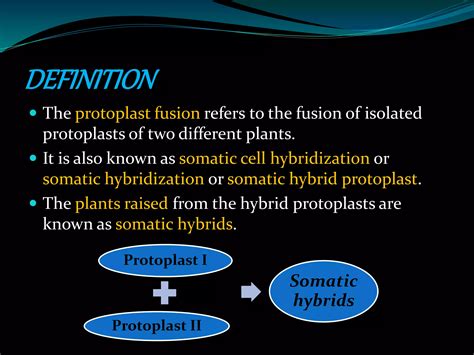 Protoplast Fusion Pptx