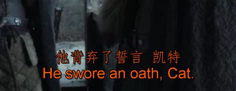 Utf 8 Chinese Subtitles Generalwindows Emby Community