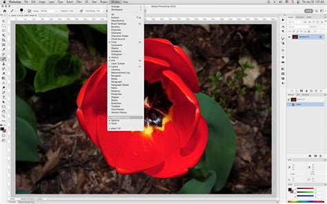 solved the image window doesn t snap to the border adobe community
