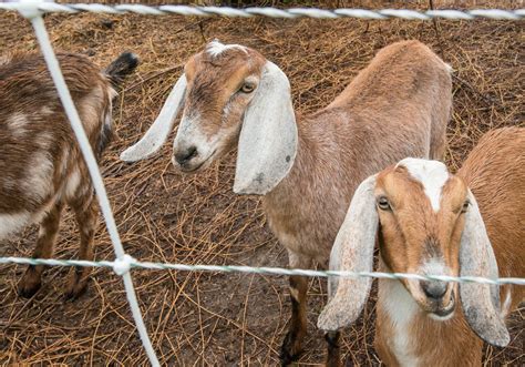 Bioscience Enterprise Forums Biotechnz