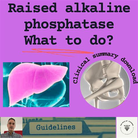 Isolated Raised Alkaline Phosphatase What To Do Primary Care Guidelines Podcast Podtail