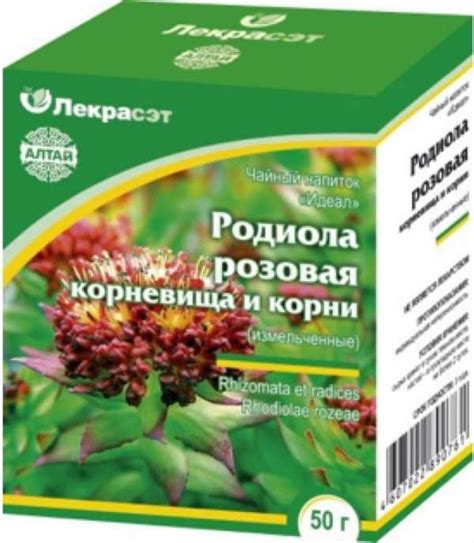 Полезные травы для мужской потенции – Травы для повышения потенции у мужчин