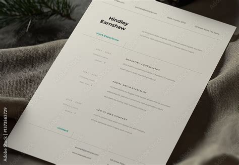 Creative Resume Design With Visual Hierarchy Stock Template Adobe Stock