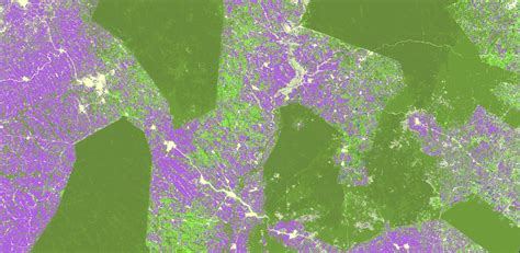 Satellite Imaging Making Deforestation Free Cocoa Possible Satelligence