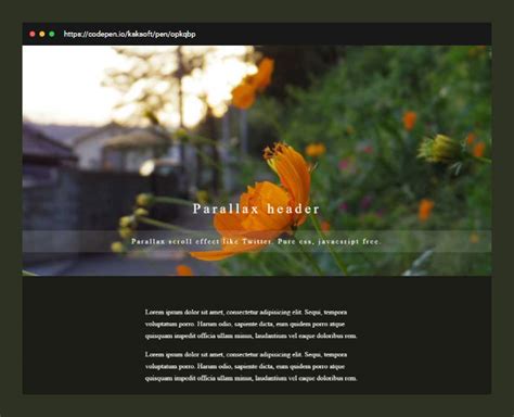 25 Pure CSS Parallax Scrolling Examples – Bashooka