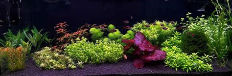 Need Help With Acid Buffer And Alkaline Buffer General Chat