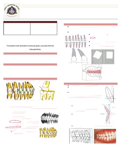 Ortho2 Lecture2 Keys Of Occlusion Pdf Dentistry Branches Dental