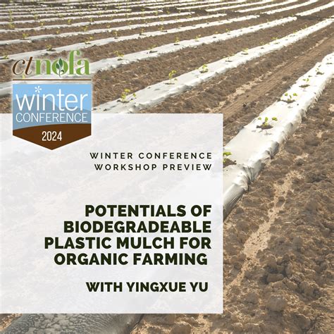 Potentials Of Biodegradable Plastic Mulch For Organic Farming Ct Nofa
