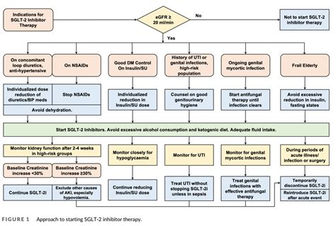 Sglt 2 Inhibitors