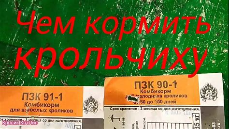 ЧЕМ кормить КРОЛИКОВ КАК КОРМИТЬ БЕРЕМЕННУЮ КРОЛЬЧИХУ Youtube