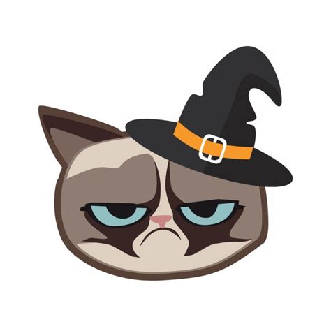 Grumpy Cat On Twitter Grumpy Cat Cats Tumblr Cutest Cats Ever