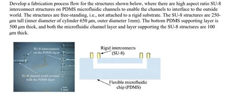 Develop A Fabrication Process Flow For The Structures