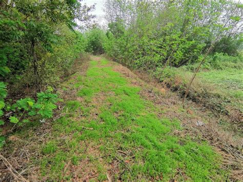 ขายที่ดิน 5ไร่ 2 งาน 2โฉนด