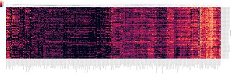 Q2 Feature Table Heatmap
