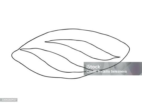 벡터 빵과 빵집 그래픽 잉크 덩어리 음식 곡물 빵 치아바타 갈색 수제 바게트 롤빵 그림은 배경에 고립되어 있습니다 손으로 그린