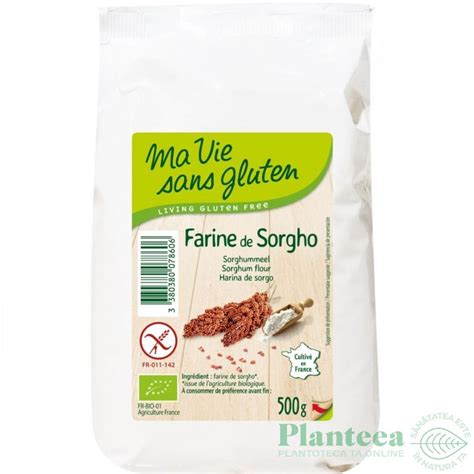 Faina Sorg Eco 500g Ma Vie Sans Gluten Pret 271 Lei Planteea