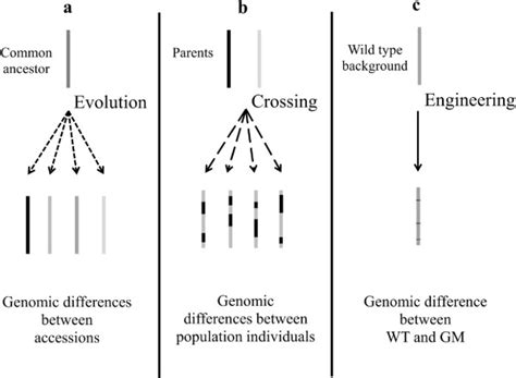 Potential Genetic Sources For Transcriptome Variation A Genomic