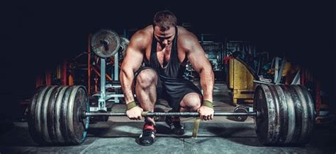 Упражнения и программа тренировок на развитие силы