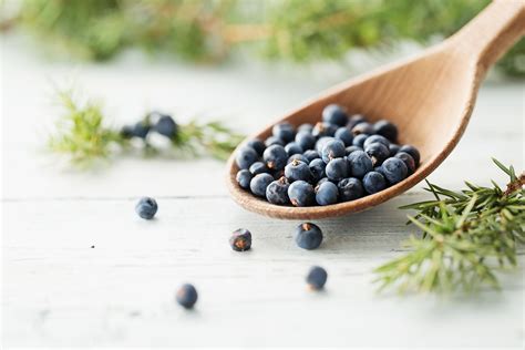 Jagody acai najzdrowszy owoc świata Dieta pl