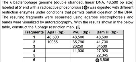 SOLVED The Bacteriophage Genome Double Stranded Linear DNA 48 500