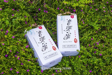 Harry 29580 台東 池上 音樂米 白米 米 稻米 食材 主食 池上米 花東米 台東縣 池上鄉 Rice Food a photo