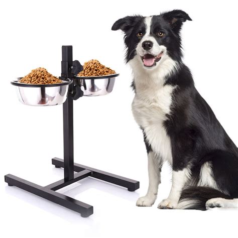 Support Gamelle Chien Réglable Monde du Chien