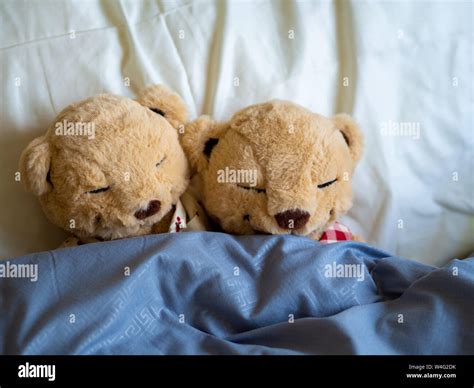 Two Teddy Bears In The Bed Teddy Bear Lovers Valentine Concept Two Teddy Bears Couple Vintage