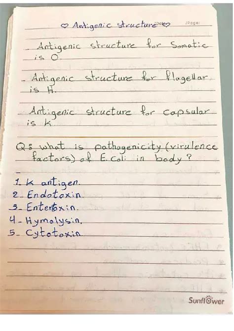 Enterobacteriaceae Coliform Bacilli Or Enteric Bacteria Edubirdie