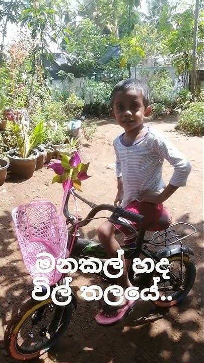 මනකල් හද විල් තලයේ Youtube