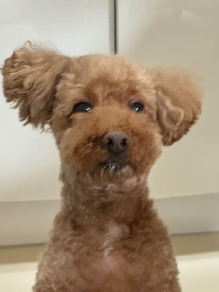 안녕하세요 접니다 주의 이 인간은 말이 많습니다