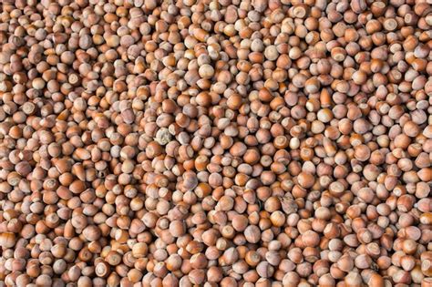 Premium Photo Dried Unshelled Hazelnuts Seeds Of Whole Nuts