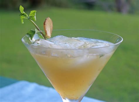 Japanese Yuzu And Ginger Cocktail Recipe