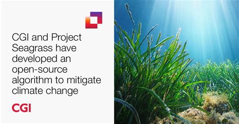 Victor O On Linkedin Cgi And Project Seagrass Release New Open Source