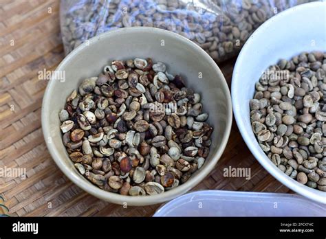 Low Quality Raw Coffee Beans Coffee Bean With Defect Low Grade Stock